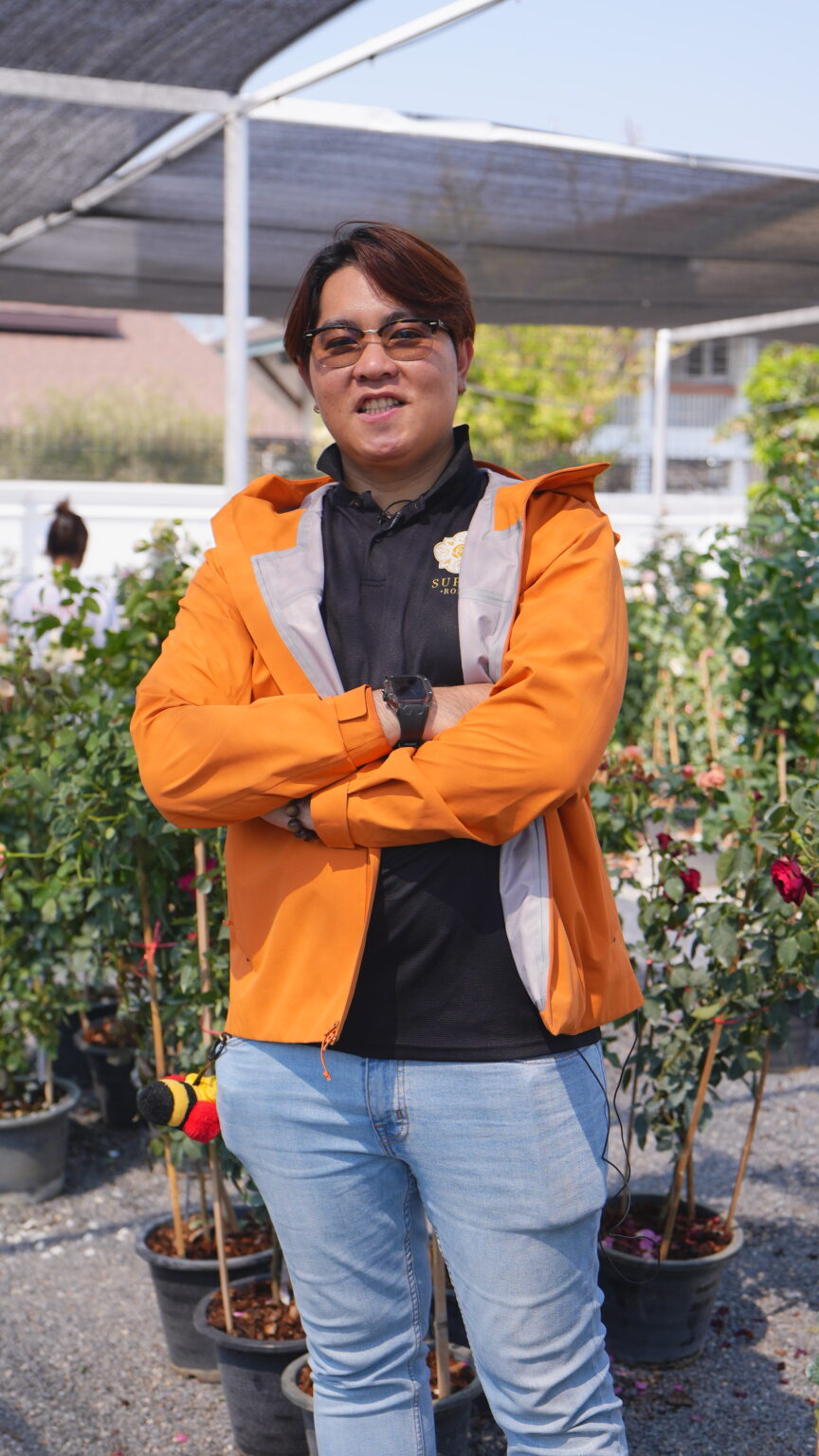 ฟาร์มกุหลาบทำเงิน Supee Rose ยอดขาย 2,000 ต้นต่อเดือน ต้นตายเปลี่ยนใหม่ให้ฟรี - ชี้ช่องรวย ศูนย์ ...